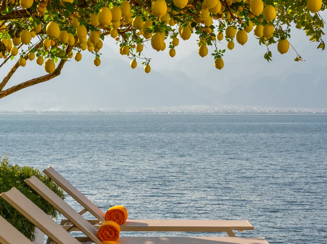 Tinghuatang Seaview Garden Meisu Hotel - Dali