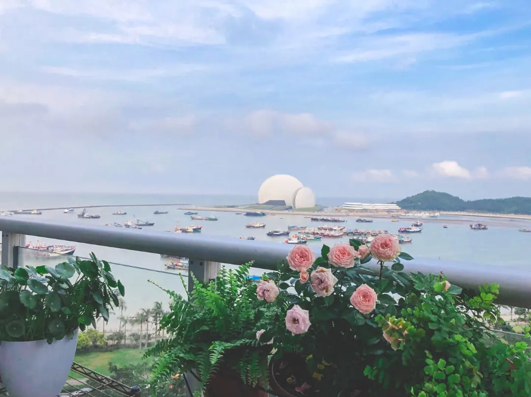 Zhuhai Hms Meisu - Zhuhai