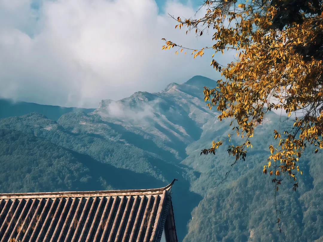 Yunhe · Holiday Villa | Designer Hotel - 