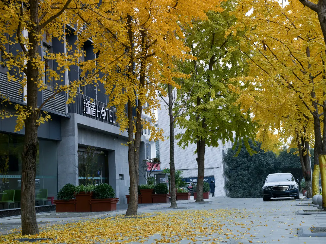 Anyee Jinzhu Hotel - Chengdu