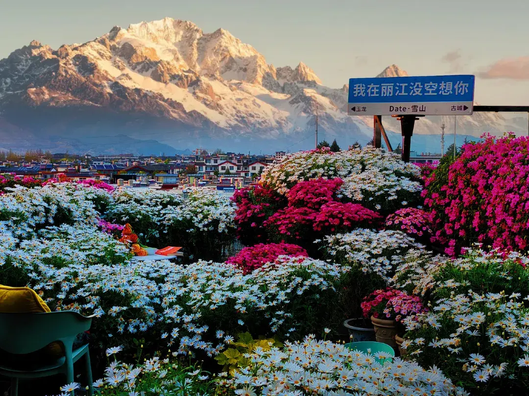 Date Jade Dragon Snow Mountain View Guest House - Lijiang