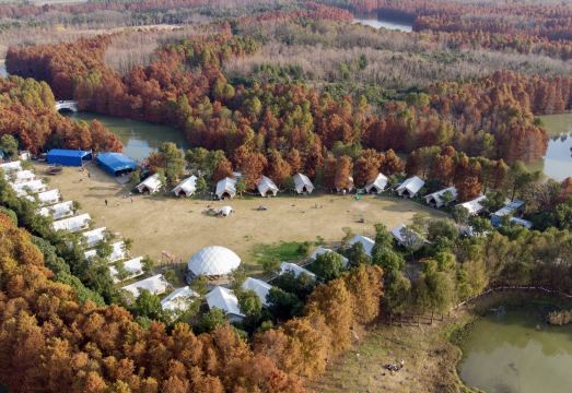 Camping on Niu Road(牛路野营上海海湾国家森林公园营地), Shanghai - 2026 Prices & Reviews ...