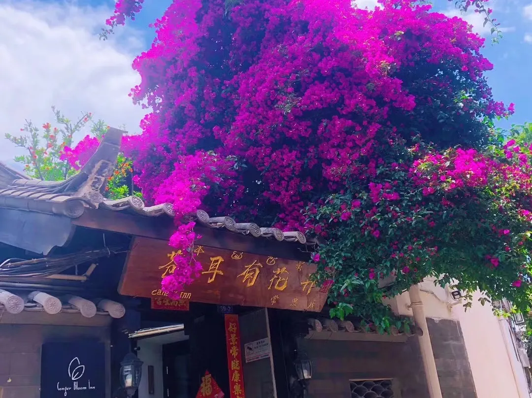 Cang Er You Hua Kai Inn - Lijiang