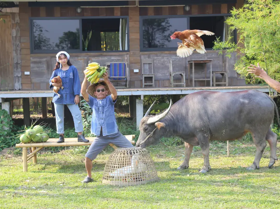 Farm Cabin Hang Tueng Farm Stay Vacation Rental Chiang Mai - Chiang Mai
