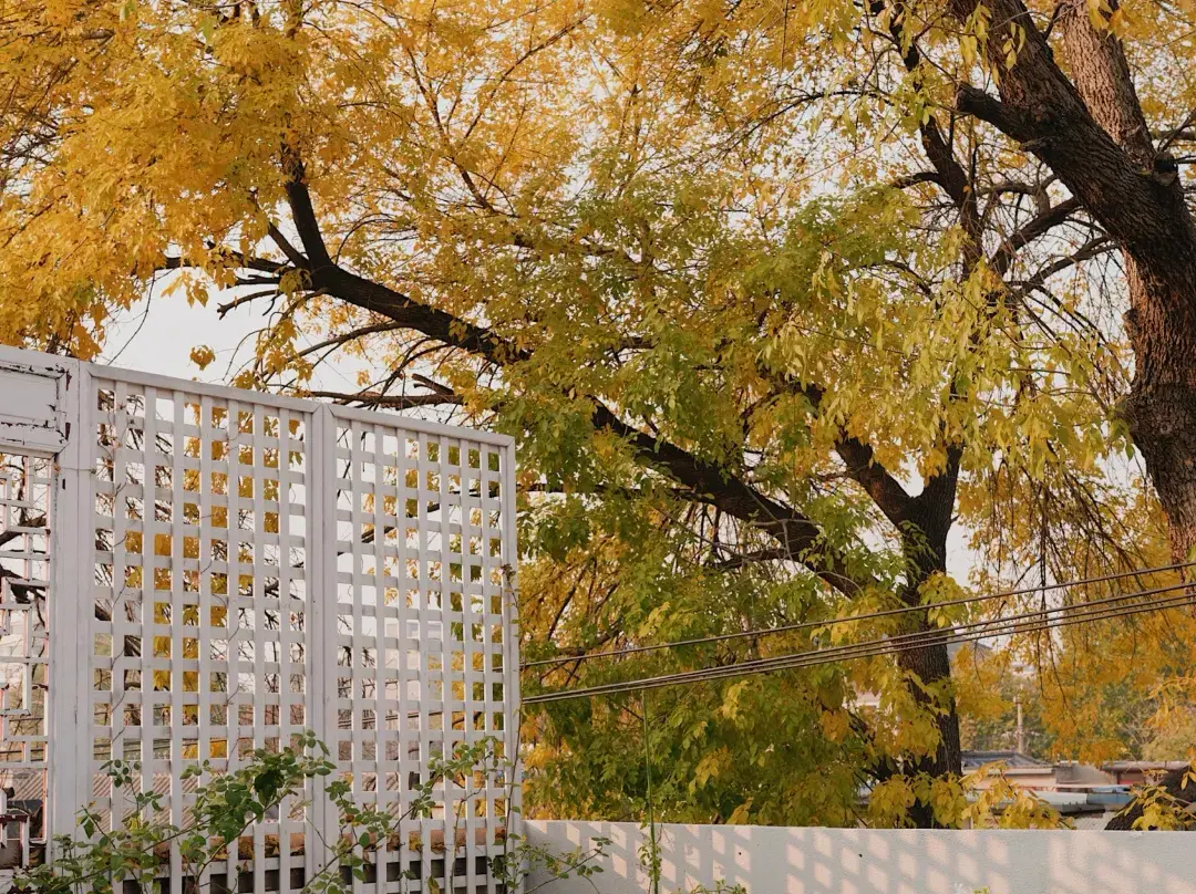 Jixiang Life Hotel - Beijing