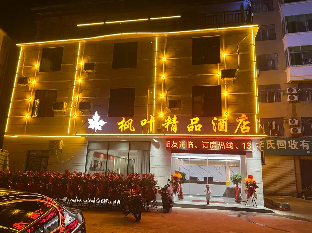 Maple Leaf Boutique Hotel - Yingtan