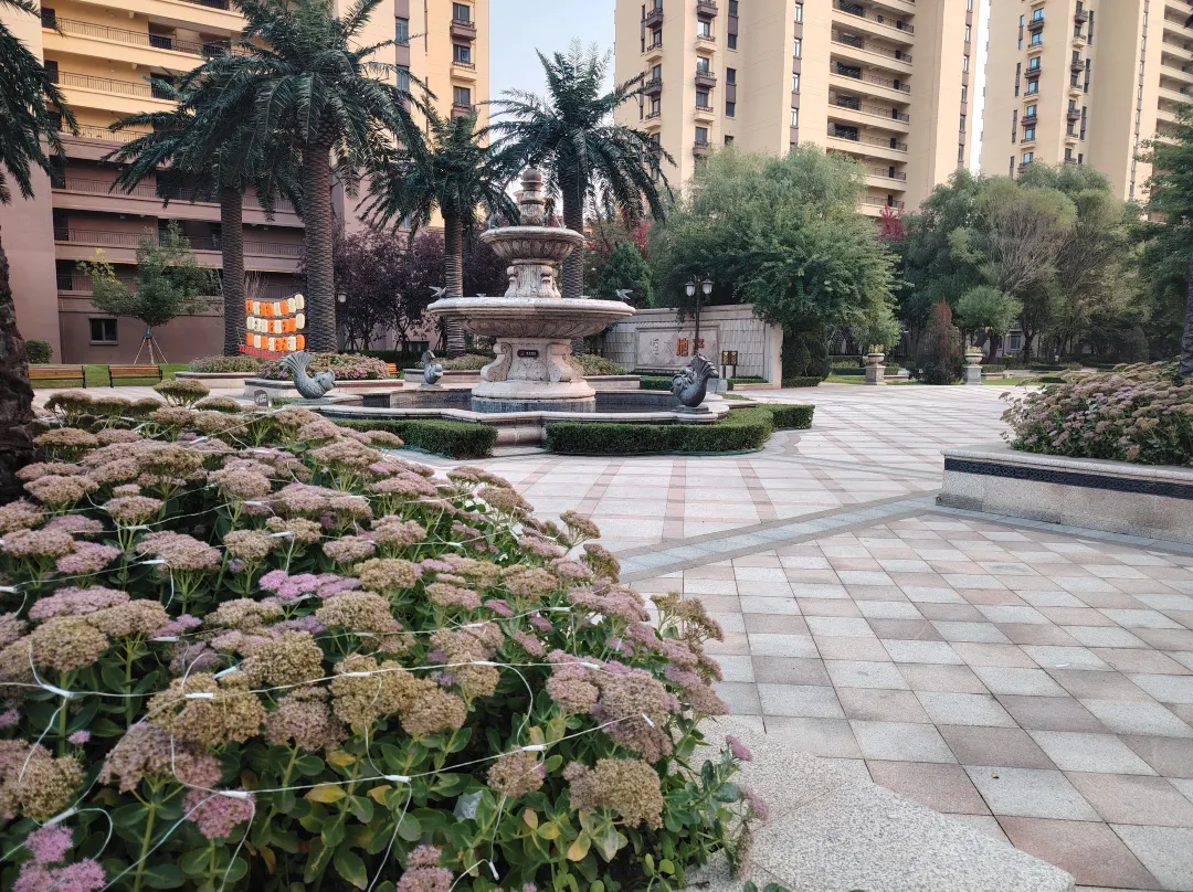 Caiyuan Homestay - Shenyang