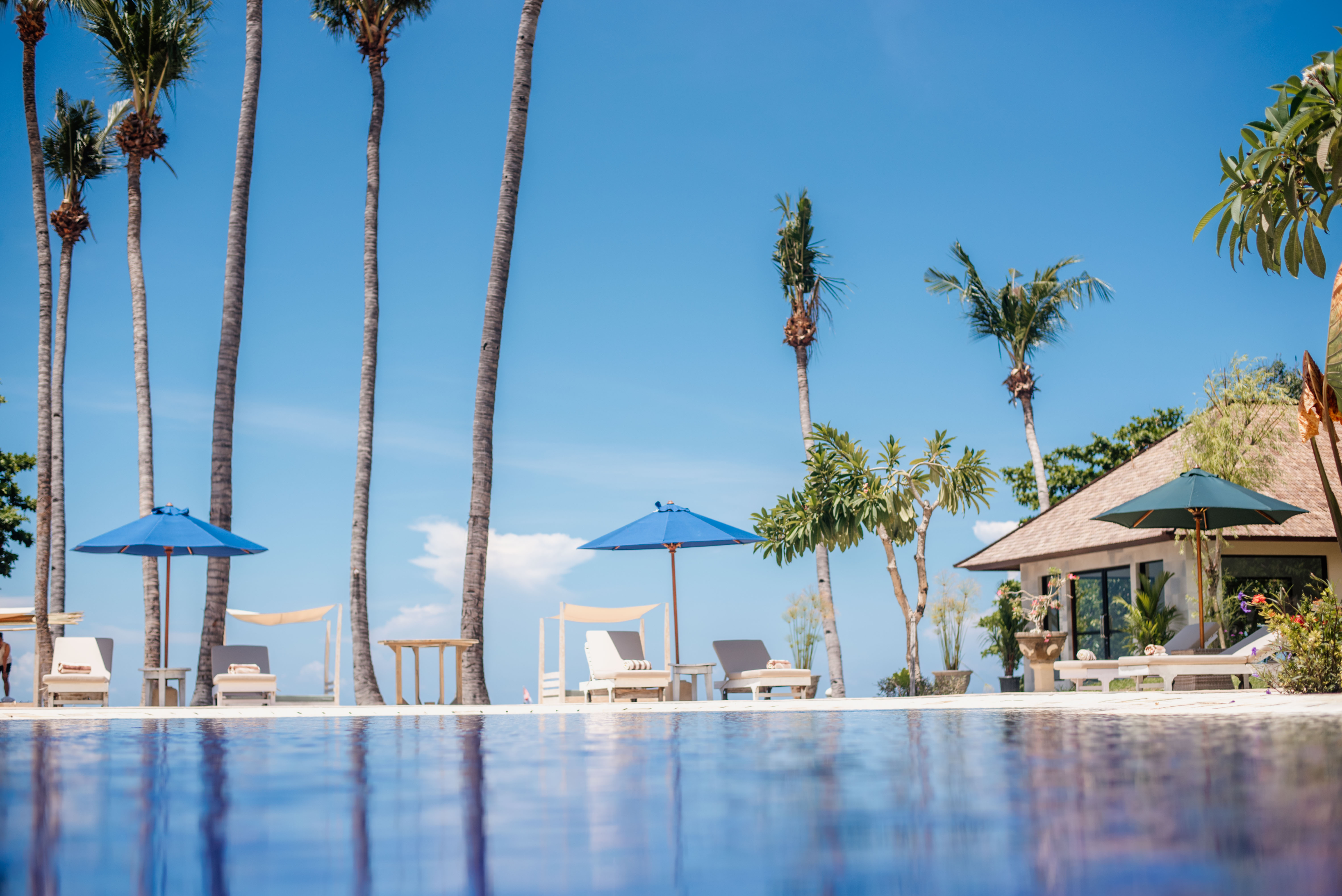 New Sunari Lovina Beach Resort Reviews: 350 Verified Reviews Latest ...