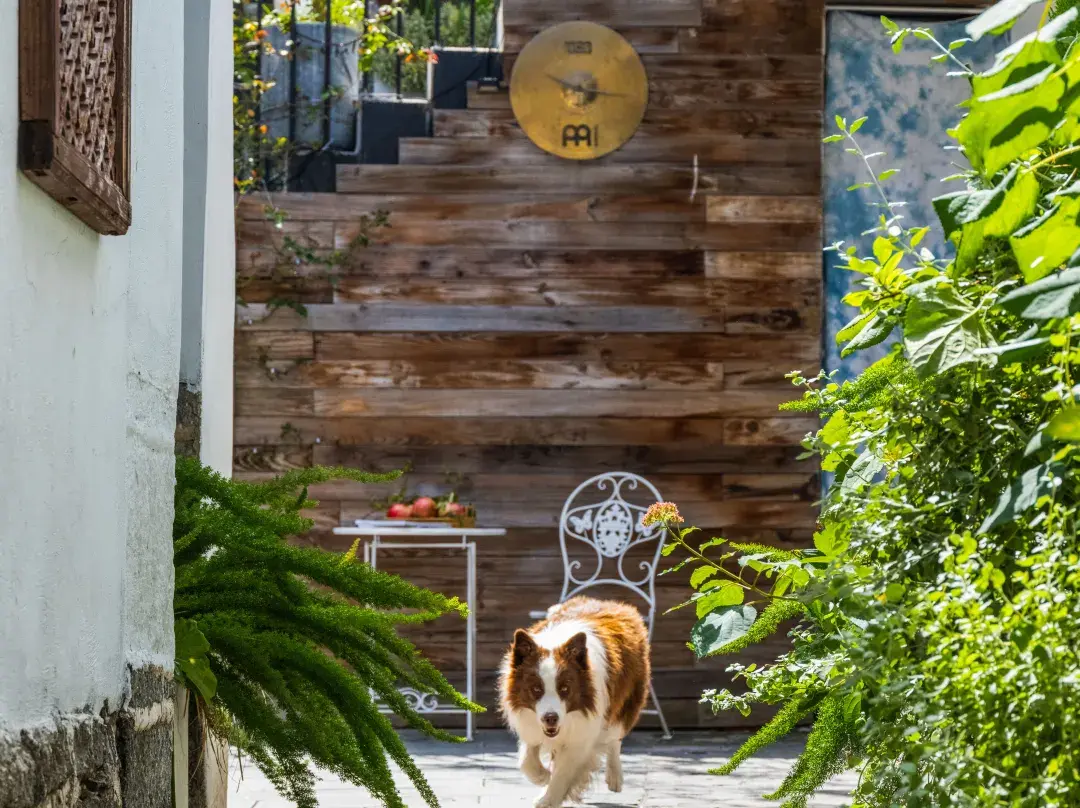 Dali Lingxi Garden Homestay - Dali