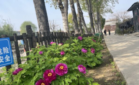 Heluo Waterfront Homestay(洛阳河洛水畔民宿), Luoyang - Book with Updated Prices ...