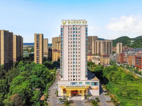 Vienna International Hotel - Pingxiang