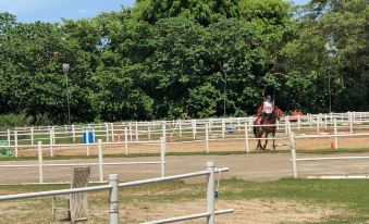 Glamping @ Bukit Timah HorseCity - 2026 Prices and Deals | Trip.com