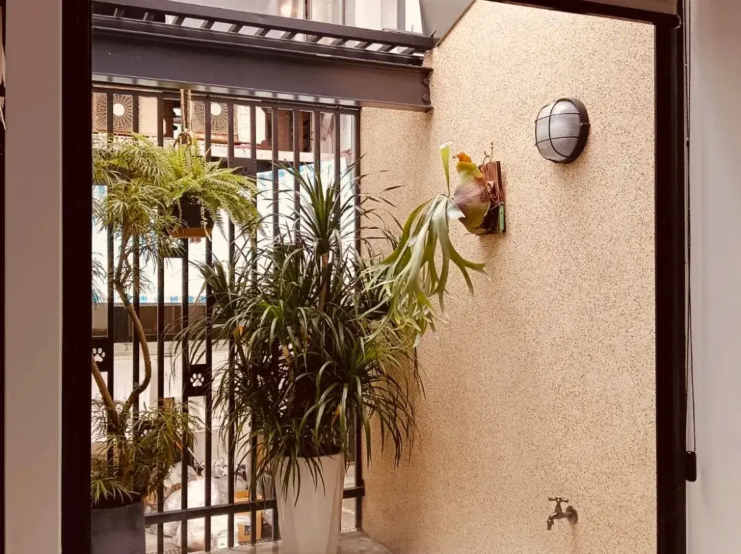 Paw-some Hostel - Hualien County