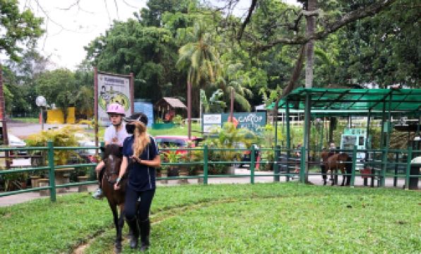 Glamping @ Bukit Timah HorseCity, Singapore - 2026 Prices & Reviews ...