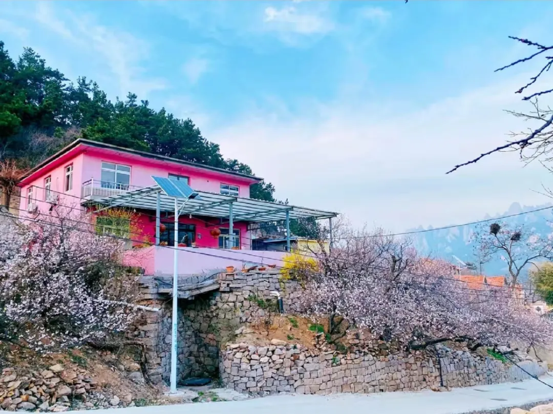 Lushan Julong Peak Farm Banquet Accommodation - 칭다오 시