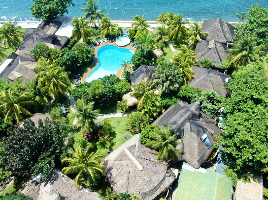 Thalatta Resort - Dauin