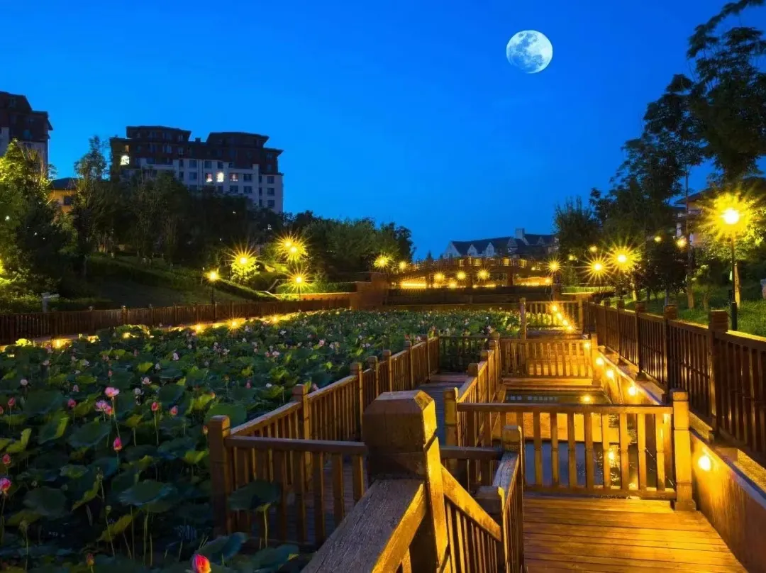 Changchun Light Luxury Banshan Hot Spring Homestay - Changchun