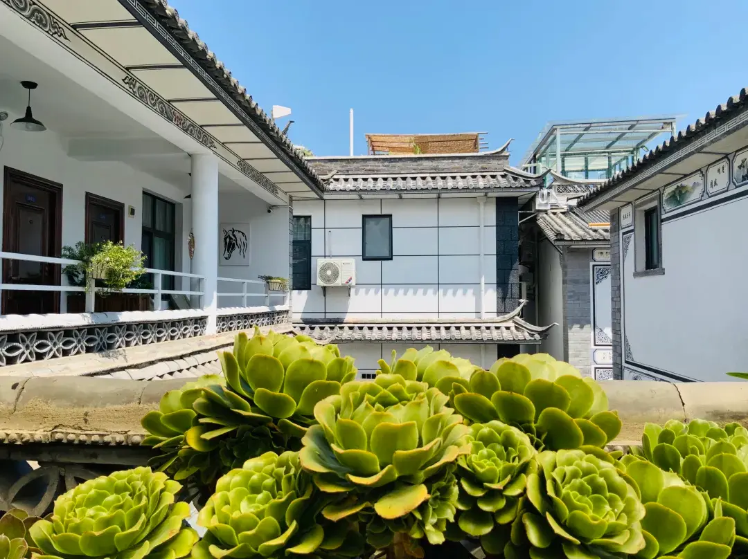 Zhu Yu Hotel - Dali