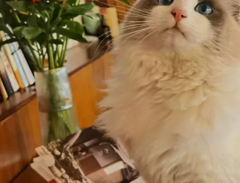 Ning Bo Han Ling Wu Yi Shan Ju Homestay - Ningbo