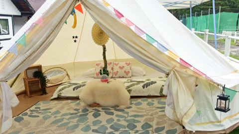 Glamping @ Bukit Timah HorseCity, สิงคโปร์ - รีวิว ราคา จองที่พัก ...