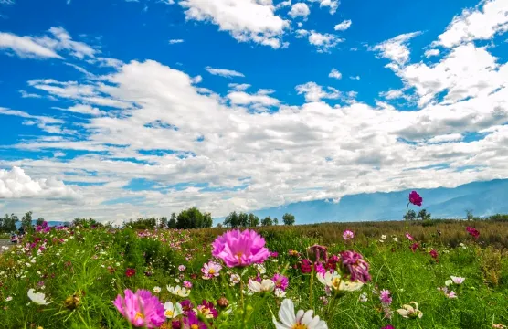 Qingxian Yaxu Homestay - Dali