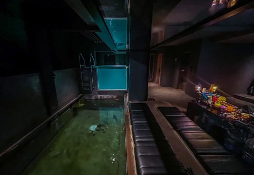 Wild child freediving boutique hotel(LOST.FOUND野孩子.朋克养生.潜水民宿（两江四湖象山景区店 ...