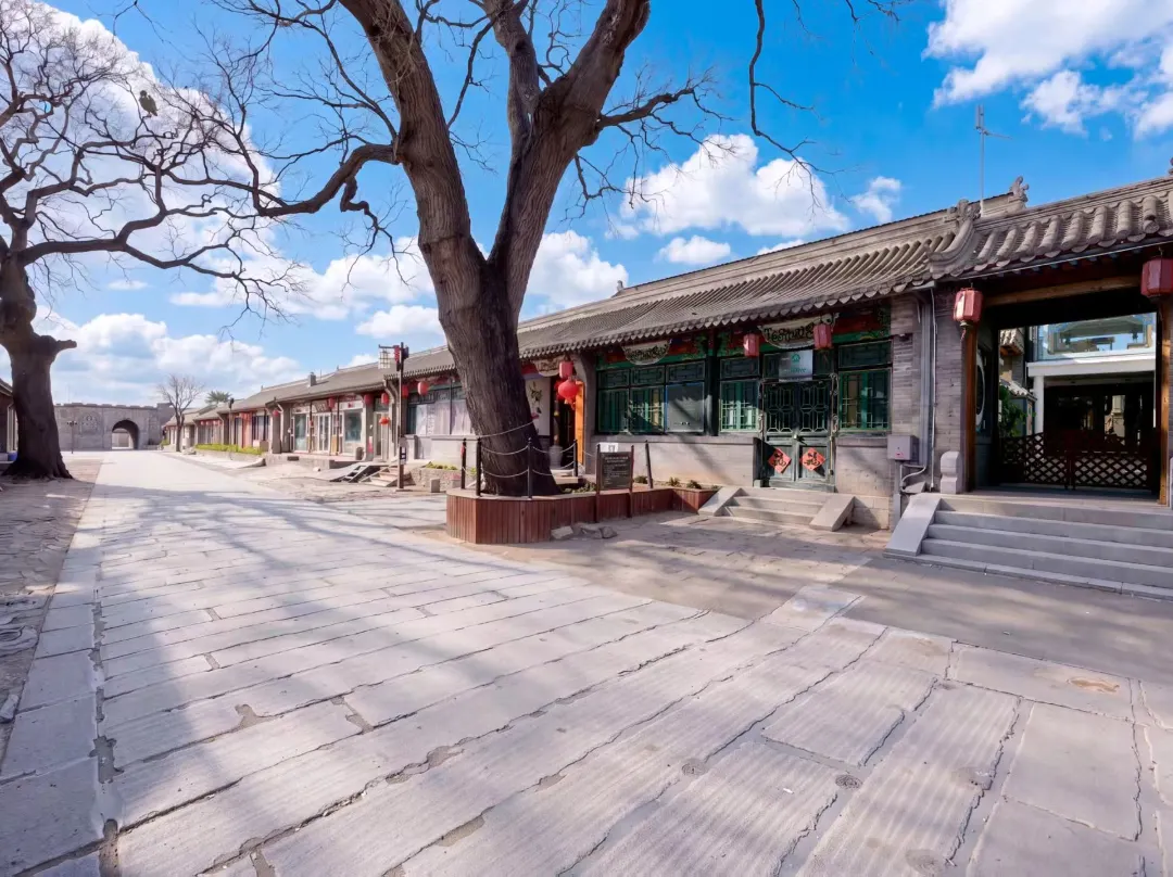 Earth Museum • Artist Diy Homestay - 北京