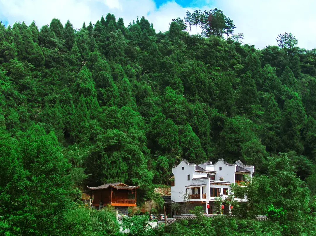 Zhangjiajie Yizhaibieyuan（tian Men Shan Dian） - 