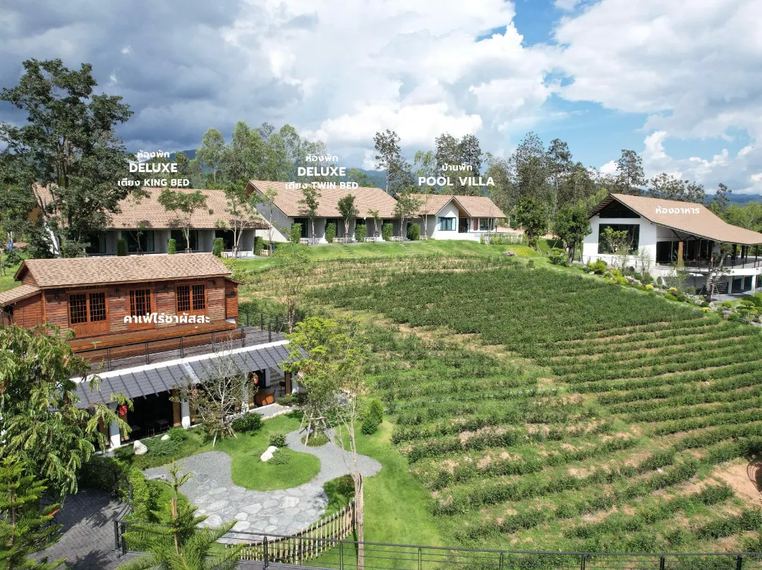 Passa Tea Plantation @Mae On - Doi Saket District