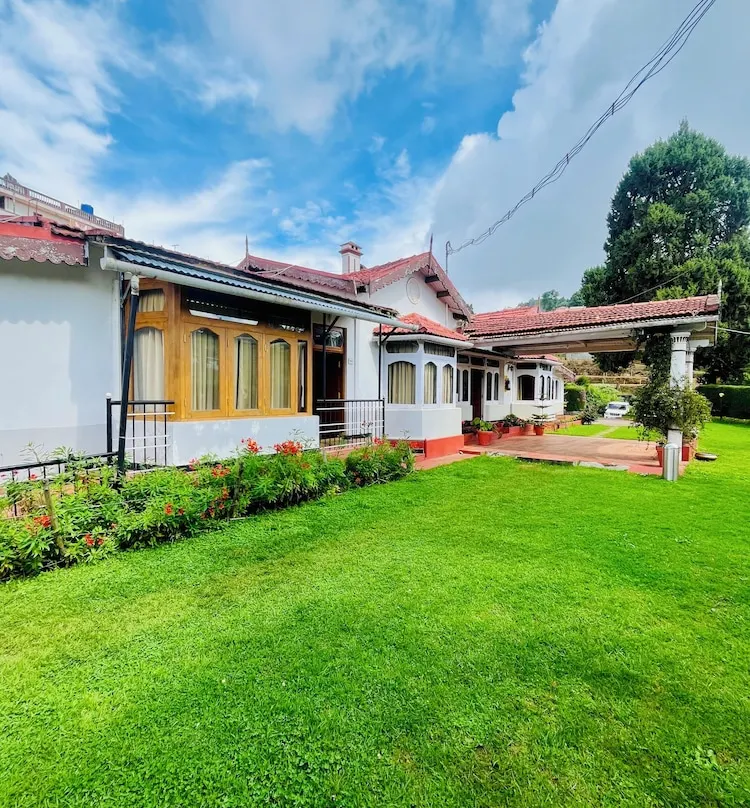 Bouganvilla - Ooty