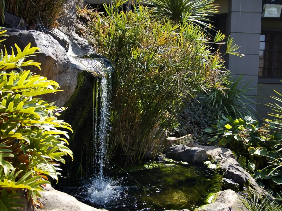 Waterfalls Boutique Hotel - Pretoria
