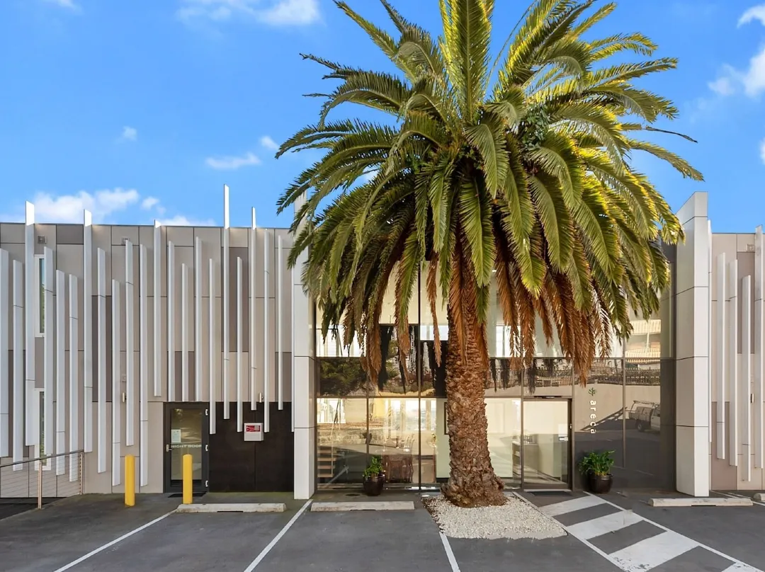Areca Launceston - Launceston