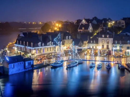Coup De Coeur - Trés Beau 2p Avec Grande Terrasse Sur Le Port De St Goustan - Auray