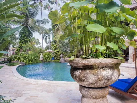 Samhita Garden Ubud - Ubud