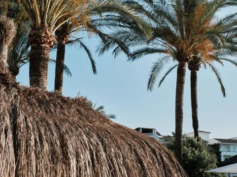 Prinsotel La Dorada - Muro