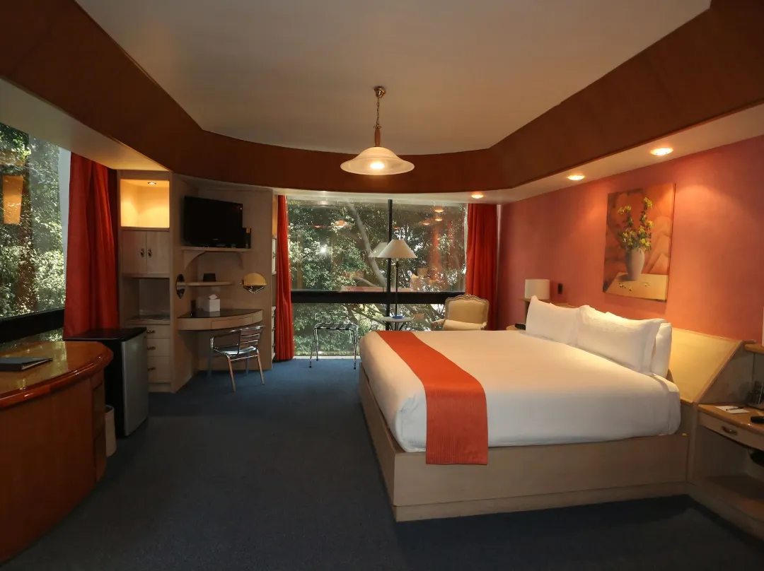 Hotel Park Nilo Reforma - Mexico City