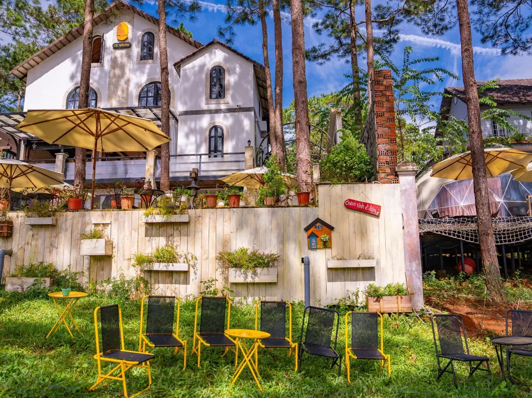 De Vivre Homestay Măng ĐEn - Quảng Ngãi