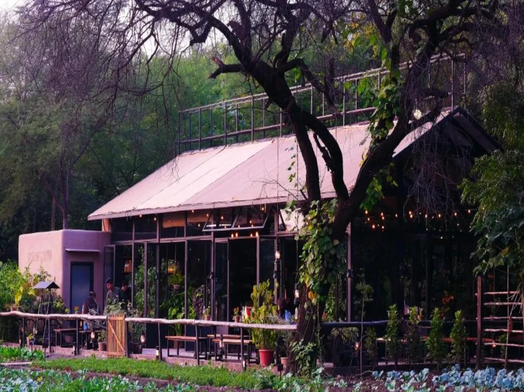 Jehan Numa Retreat - Bhopal