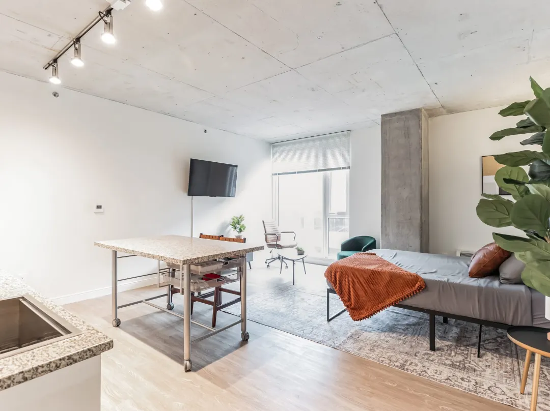 Theater And Rooftop Club Room - Modern Stylish Escape - Cleveland, OH