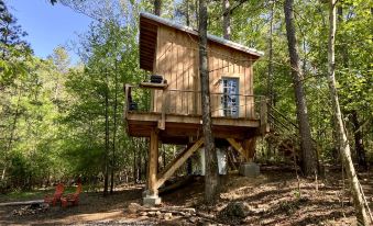 Luminous Peaceful Treehouse with Incredible Forest Views and Fire Pit ...