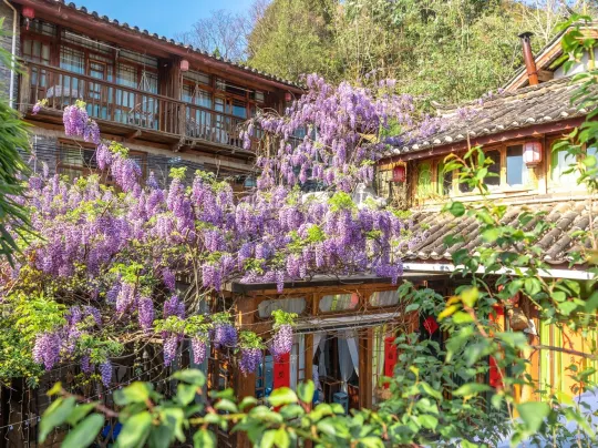 Shuhe Danggui Courtyard · Pet-friendly Garden Courtyard-style Hotel - Lijiang