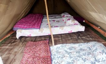 Trivani Camp,Allahabad - Updated Prices & Hotel Reviews 2025 | Trip.com