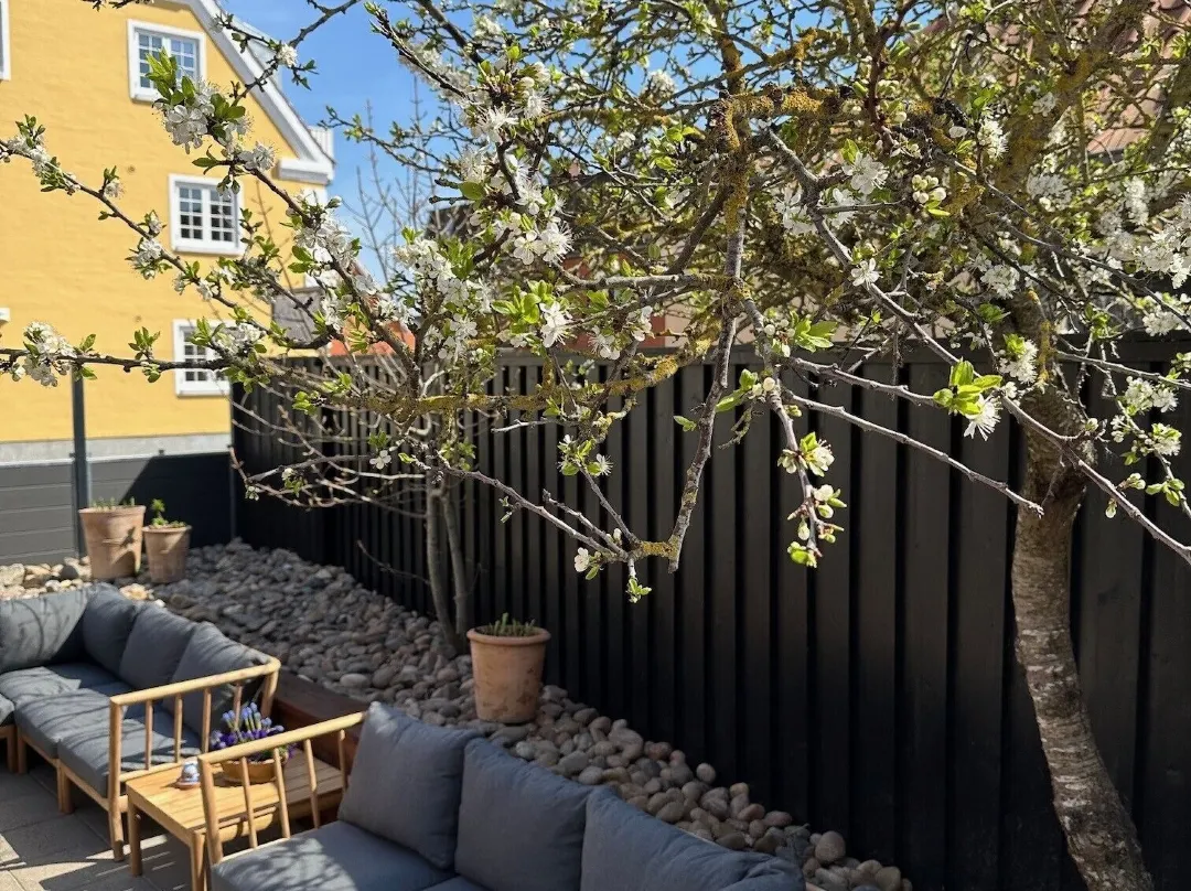 Plesners Badehotel - Skagen