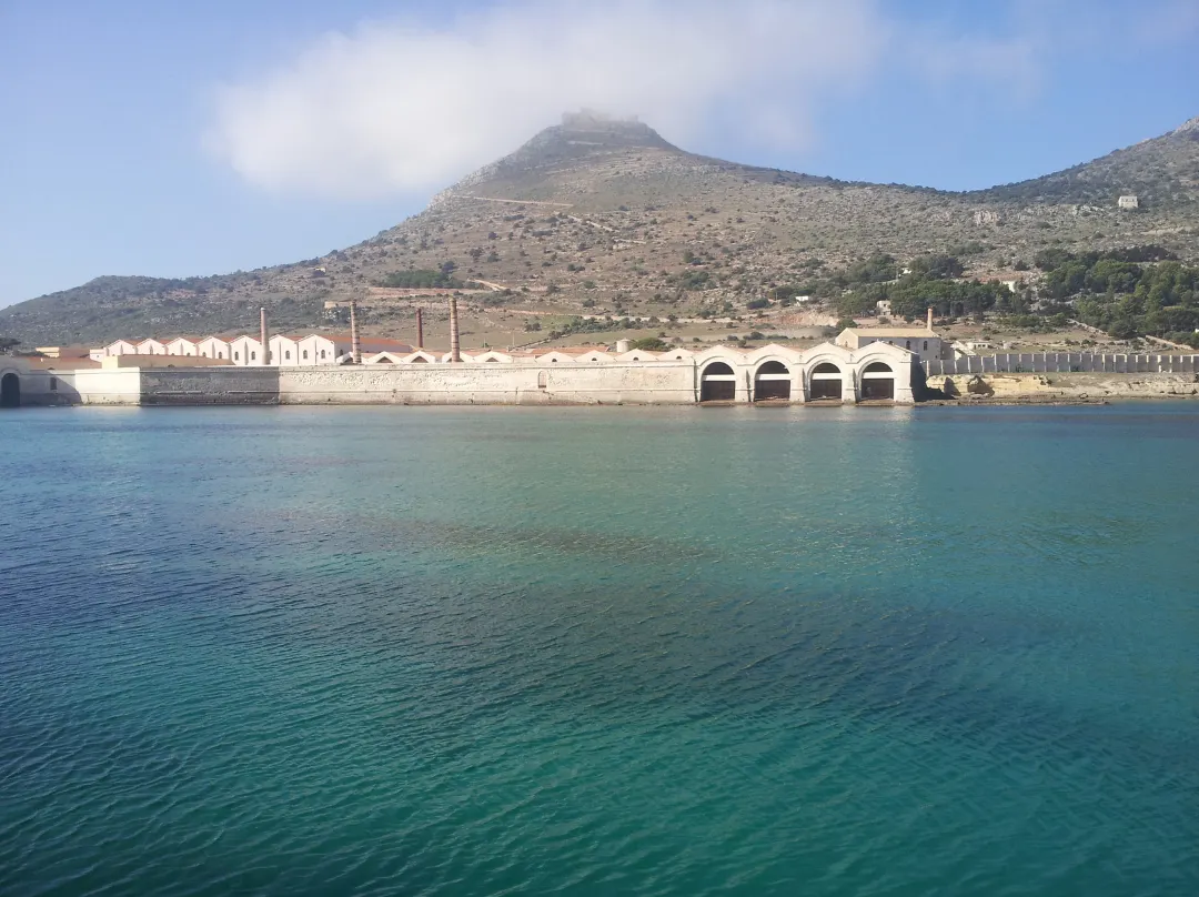Liveaboard & Diving Safari - Aegadian Islands Tour - Trapani