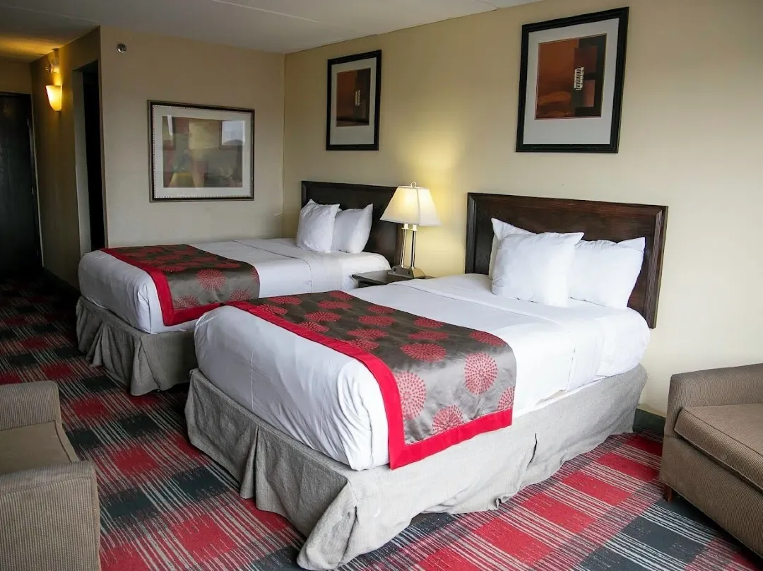 Albany Plaza Hotel - 奧爾巴尼
