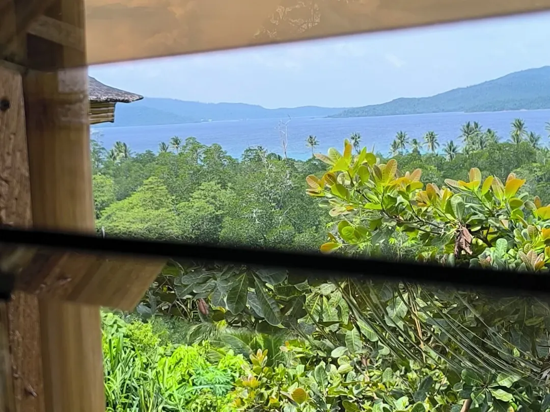 Ocean Green Eco Lodge - Puerto Princesa