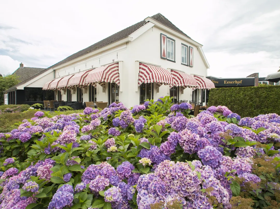 Hotel Restaurant Eeserhof - Drenthe