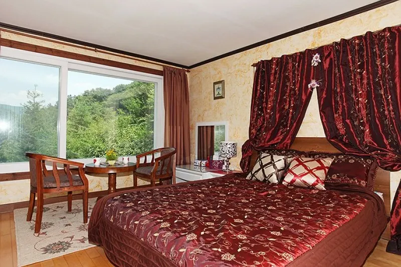 Danyang Fragrant Tree Pension - Andong