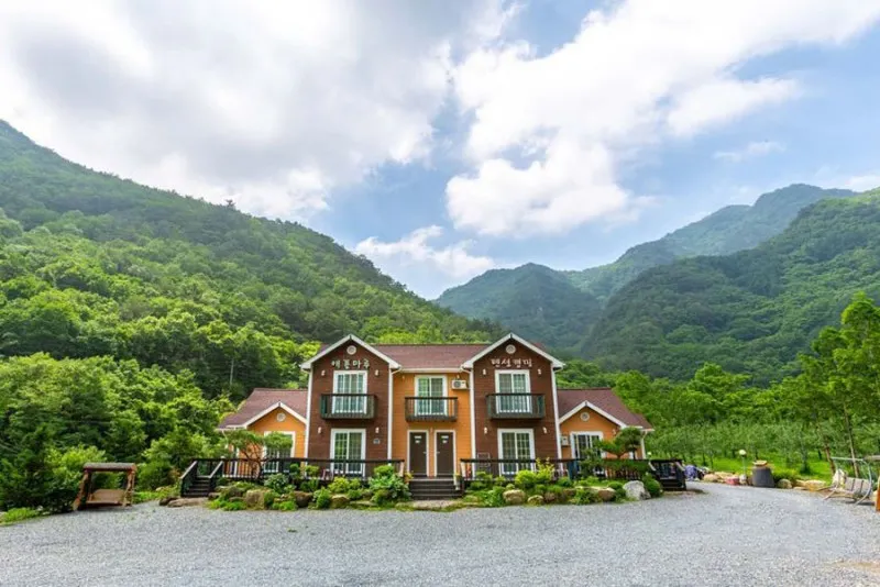 Danyang Apple Maru Pension - Andong-si