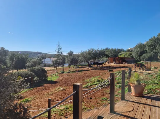 Tiny House Loulé Algarve - Faro District